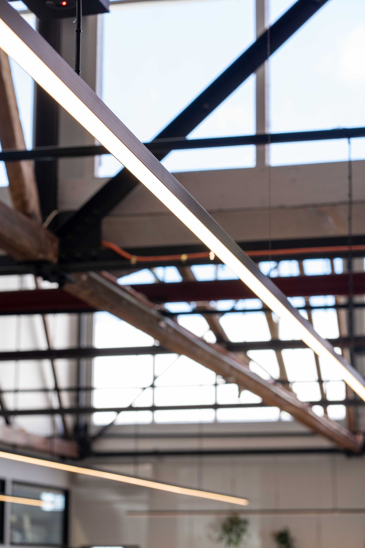 Royal Nut Company - Lighting Showcase | Solstice Lighting