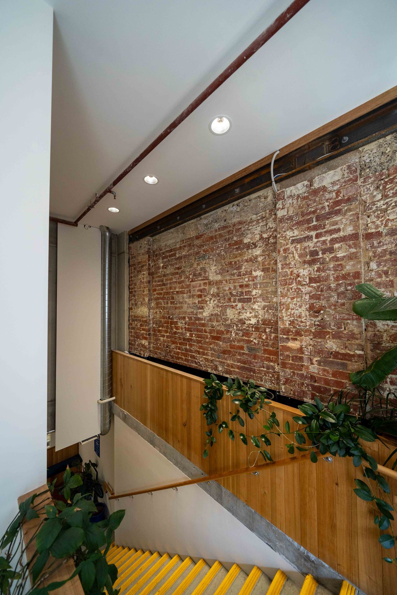 Inner North Medical | Solstice Lighting